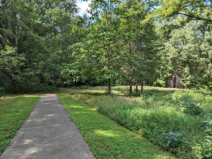 Stroll into serenity: This paved path is your yellow brick road to relaxation. No ruby slippers required, just comfortable shoes and an open heart.