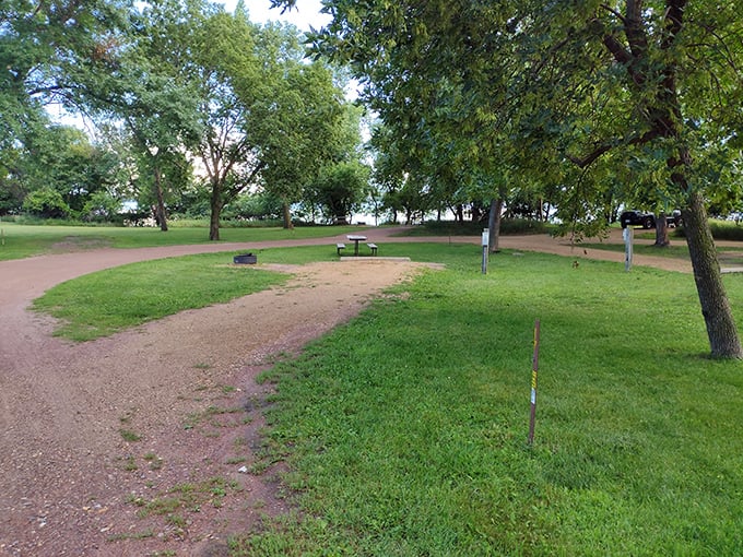 Picnic paradise or squirrel social club? This grassy oasis is the perfect spot for humans to refuel and for our bushy-tailed friends to plot their next snack heist.