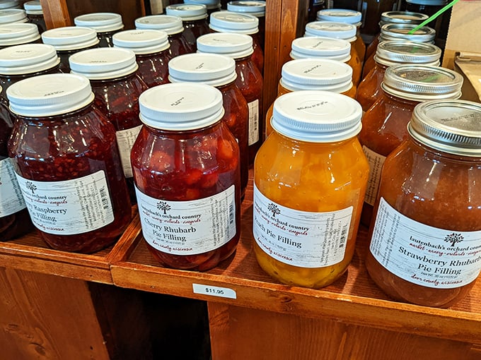 Jars of joy, anyone? These fruit fillings aren't just pie stuffers &ndash; they're edible time machines, transporting you straight to grandma's kitchen with every spoonful.