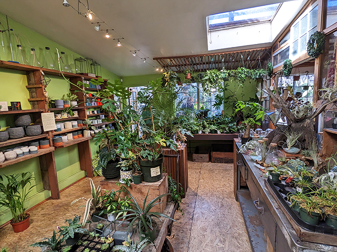 A jungle oasis in the heart of the city! This lush plant corner is a breath of fresh air amidst the quirky chaos.