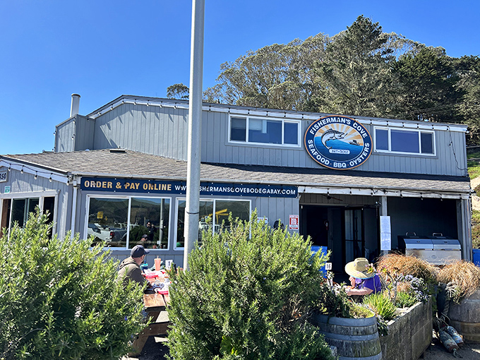 Fisherman's Cove: Where the catch of the day becomes the feast of a lifetime. Fresh seafood so good, you'll want to hug a fisherman.