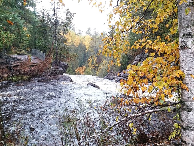 Autumn's paintbrush at work. The river and fall foliage create a scene Bob Ross would've loved to capture.