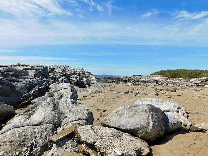Rock stars of the coast: These weathered formations have seen more history than a Ken Burns documentary. Each crevice tells a story of time, tide, and tenacity.