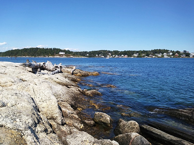 Rocky shores and crystal waters &ndash; nature's own jigsaw puzzle. Here, every stone tells a story, and the waves are always eager to share their latest gossip.