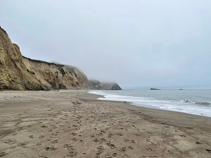 Misty mornings on the California coast: where the fog plays hide-and-seek with the cliffs and the beach becomes your own private kingdom.