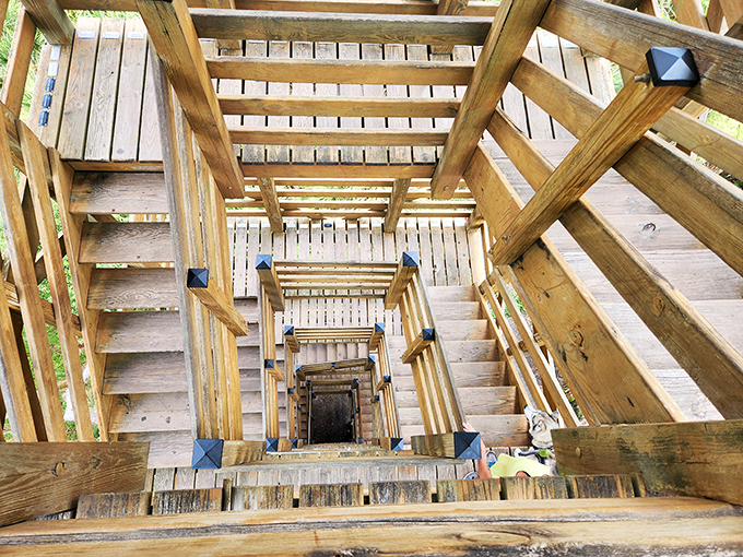 Stairway to heaven? Not quite, but these steps will elevate your park experience to new heights!