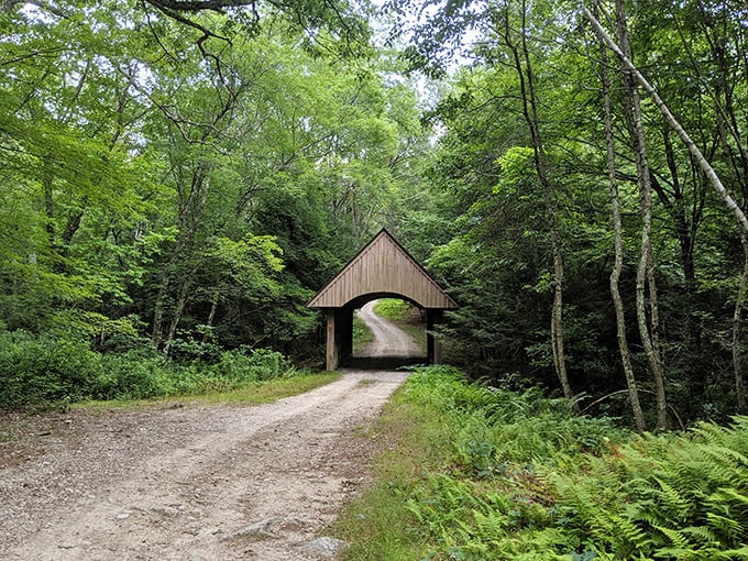 Who needs a yellow brick road when you've got this charming covered bridge? It's like stepping into a fairytale, minus the wicked witch.
