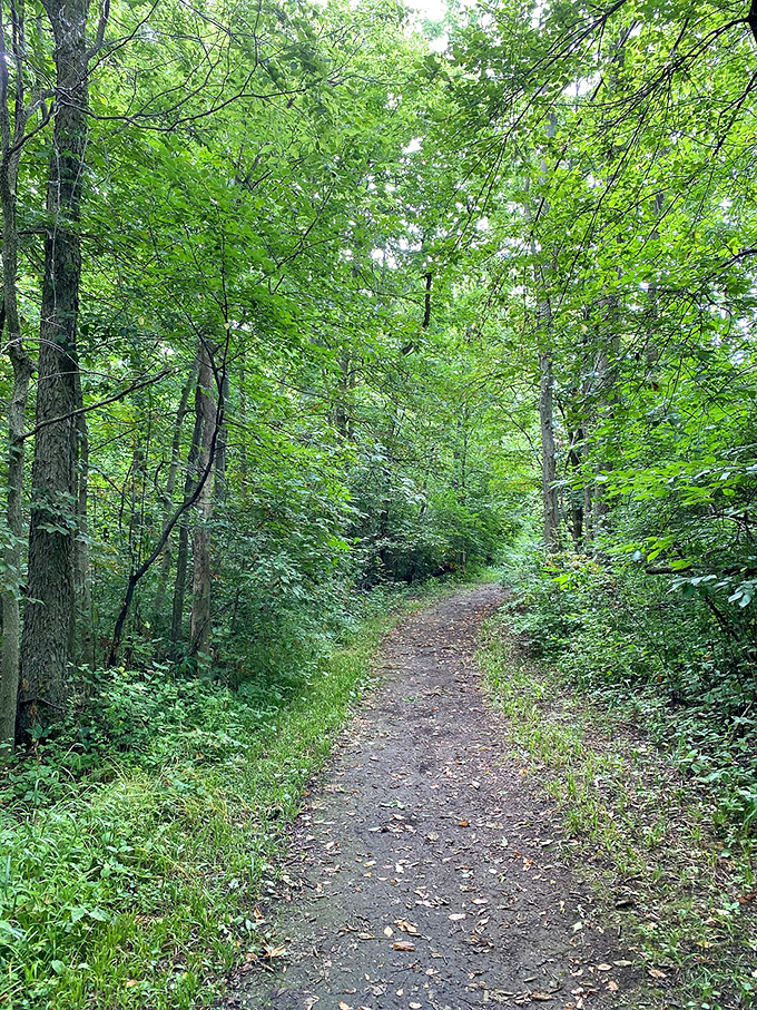 "Nature's red carpet, minus the paparazzi." This lush trail invites visitors to step into a world where cell service fades and wonder takes center stage.