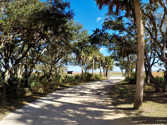 Follow the yellow brick road... or in this case, the sandy trail flanked by majestic palms and oaks. Oz has nothing on this!
