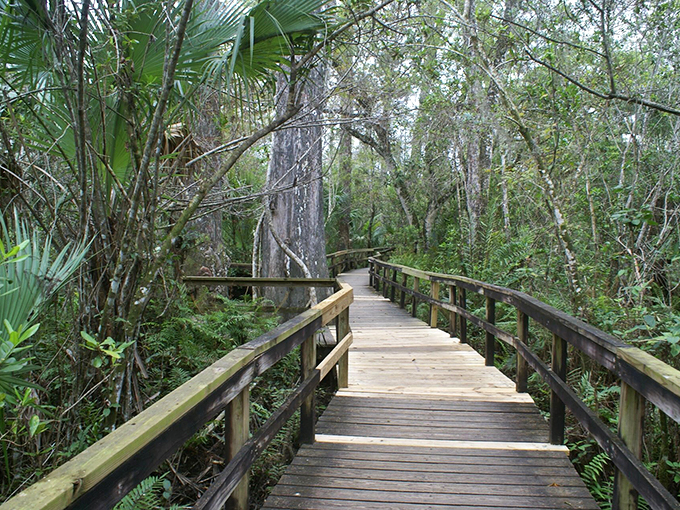 Indiana Jones, eat your heart out! This winding trail is the ultimate adventure, minus the boulder chases and ancient curses.