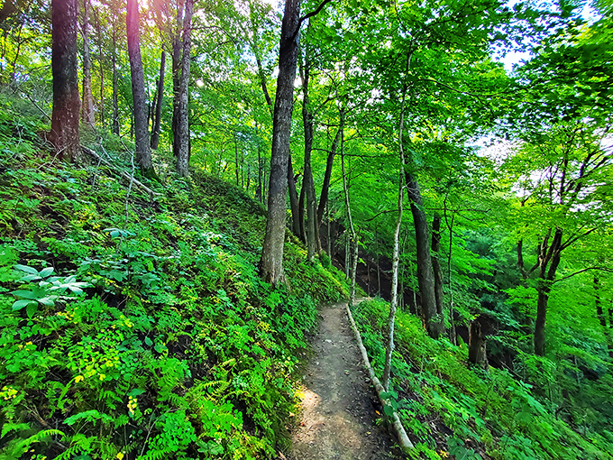 Follow the yellow brick&hellip; trail? This winding path through lush greenery is your ticket to Oz, Minnesota-style.