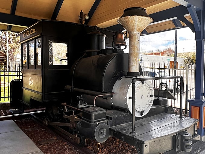 All aboard the nostalgia express! This iron horse might not chug along anymore, but it still has the power to transport you to a bygone era of adventure and possibility.