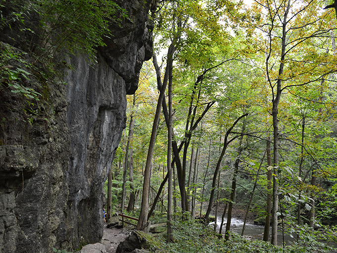 "Nature's cathedral: where limestone cliffs stand tall and trees whisper secrets older than time itself."