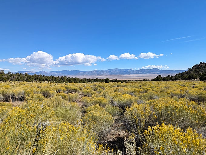 Behold, the great Nevada nothingness! But don't be fooled - this vast expanse of sagebrush and sky holds more secrets than a Vegas magician's sleeve.