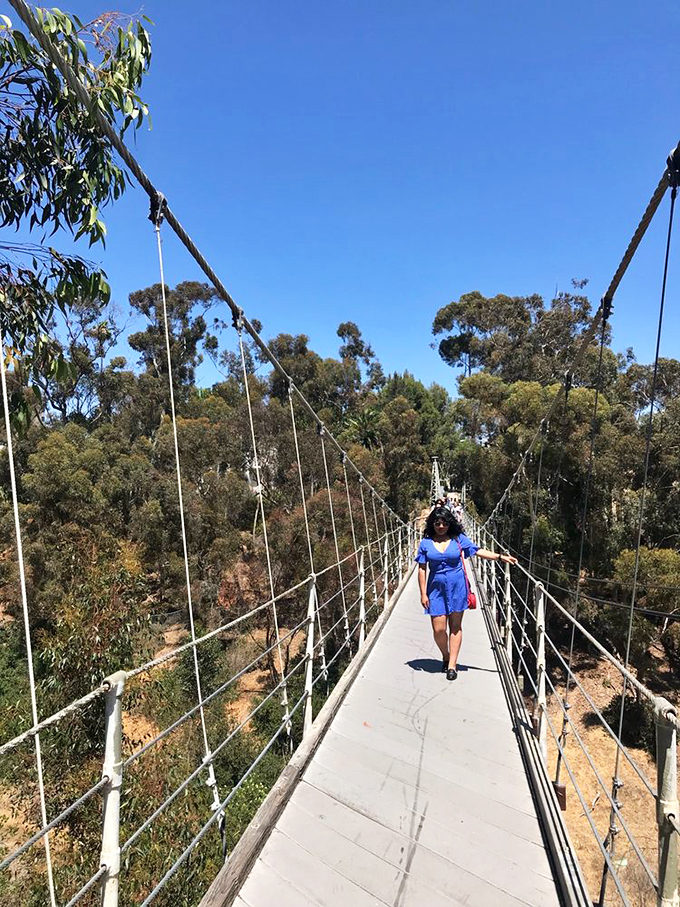 Blue skies, swaying trees, and a dash of courage &ndash; the perfect recipe for an unforgettable stroll across San Diego's aerial wonder.