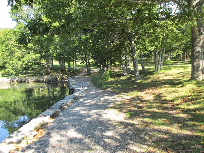 Follow the yellow brick... gravel? This winding path promises adventures worthy of Dorothy herself, minus the flying monkeys.