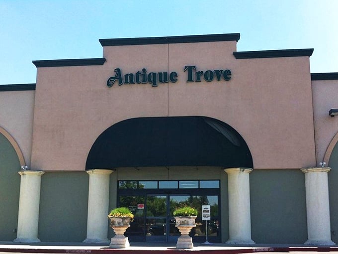 Antique Trove: Where modern meets vintage in a clash of eras that'll make your Instagram followers swoon.