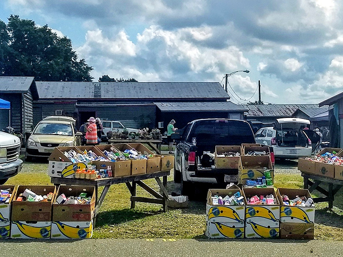 Jamestown Flea & Farmers Market: Where farm-fresh produce meets funky finds. It's like a salad bar for your shopping cart!