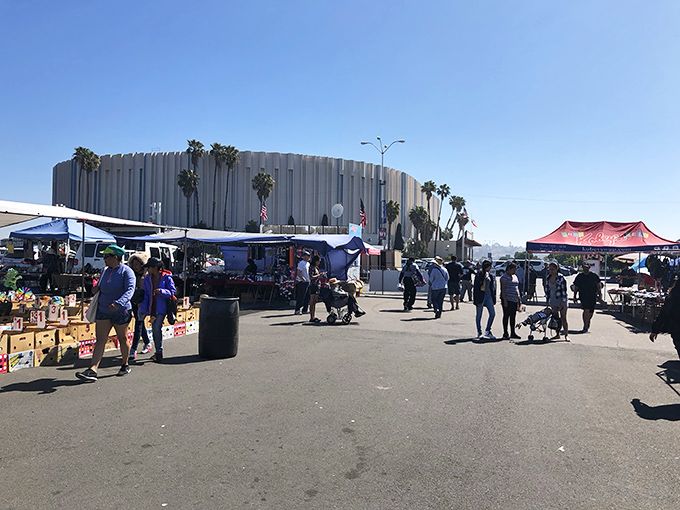Kobey's Swap Meet: San Diego's answer to "What if Walmart and your eccentric uncle's garage had a baby?"