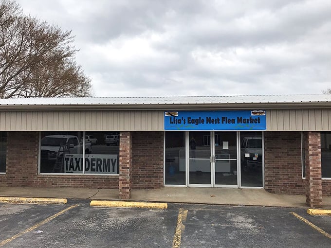 "Lisa's Eagle Nest: Where taxidermy meets tchotchkes in a delightful dance of the decades."