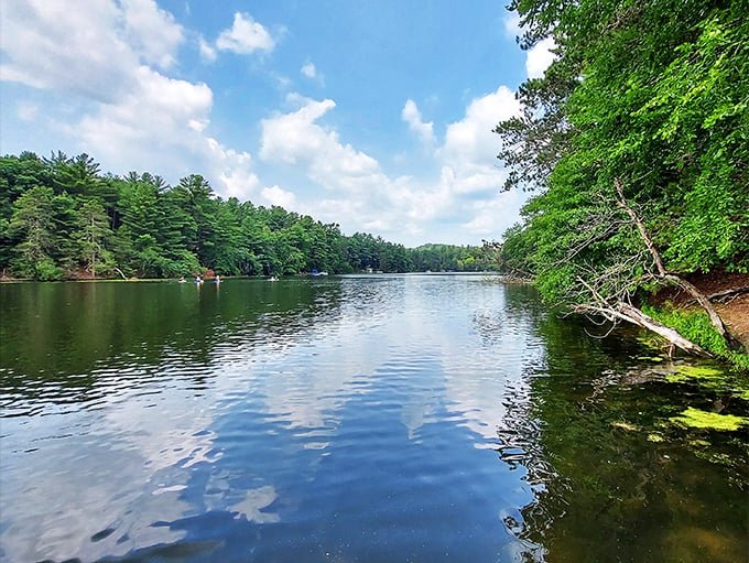 Who needs a green screen when you've got this view? Wisconsin's serving up a slice of paradise, no special effects required.