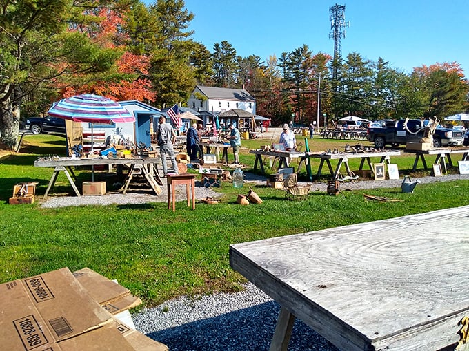 Nature meets nostalgia at this grassy gathering. It's a picnic where the main course is served with a side of history.
