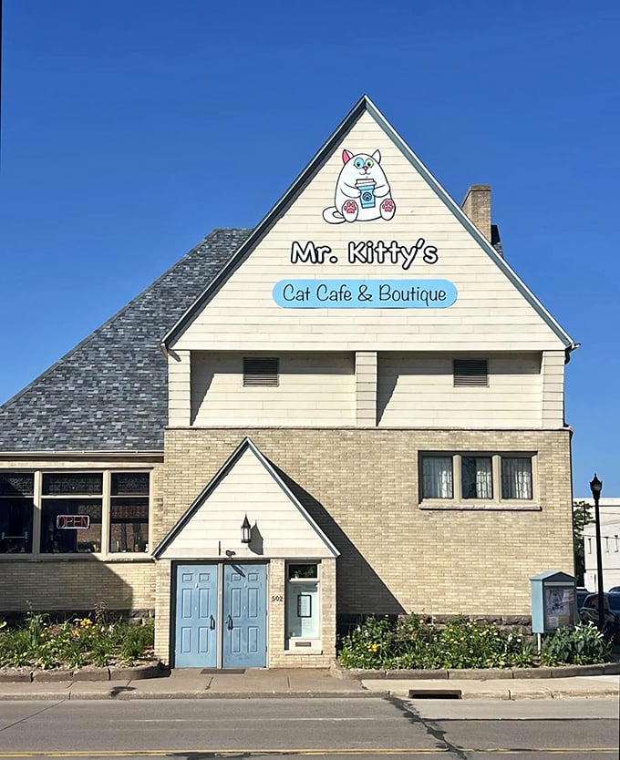 Mr. Kitty's: Where Wes Anderson meets cat lady chic. Expect whimsy, charm, and possibly Bill Murray in cat form.