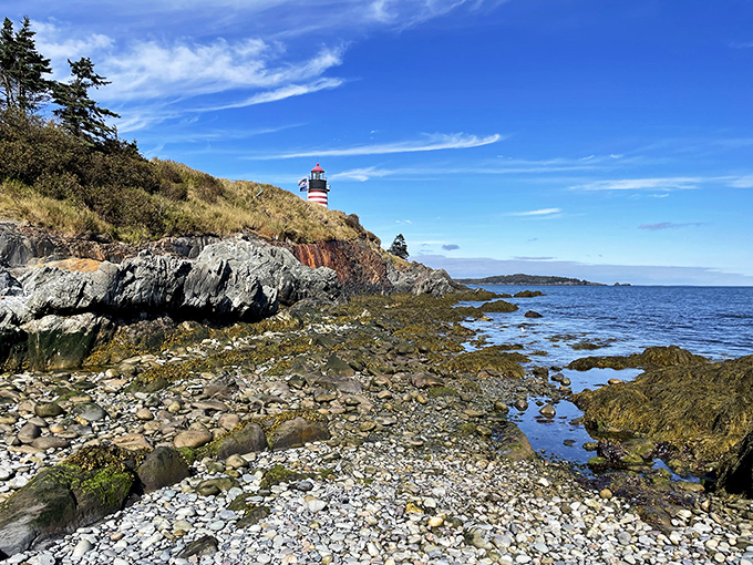 West Quoddy Head Light: The candy cane of lighthouses. Guiding ships and dazzling visitors since before Instagram was cool.