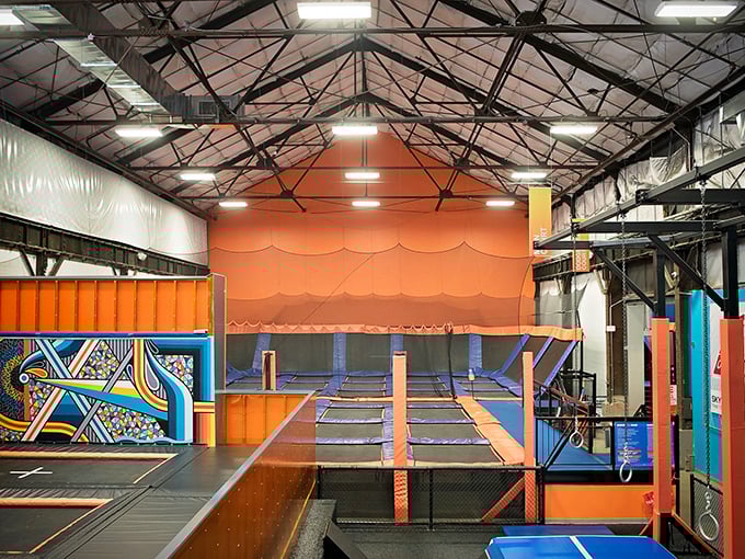 Sky Zone: Where "the floor is lava" gets a high-flying upgrade. Trampolines as far as the eye can see!