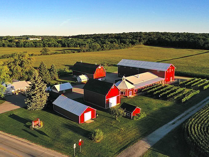 Staller Estate: Small but mighty! This charming winery packs big flavors into its cozy tasting room. No pretension, just good wine.