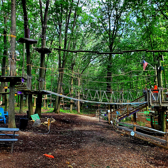 TreeRunner Adventure Park: Embrace your inner Tarzan! These treetop obstacles will have you swinging like it's jungle prime time.