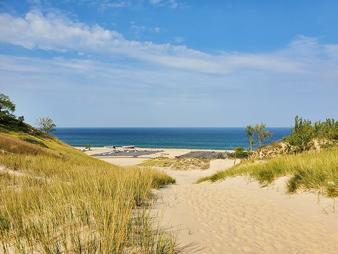Warren Dunes: Beach, meet forest. It's like nature's own mullet &ndash; party in the front, wilderness in the back!