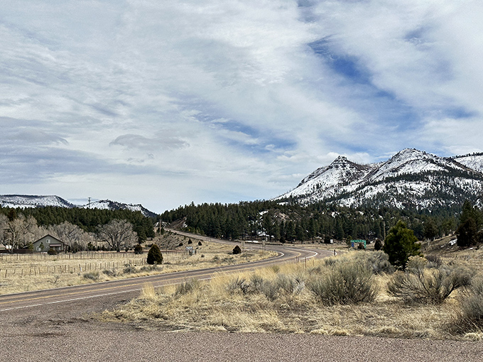 White Mountains Meadow: Greer's best-kept secret! Rolling hills and whispering pines create a scene straight out of a fairytale.