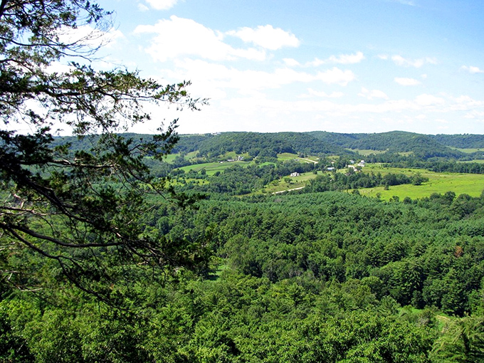 Wildcat Mountain: Where the hills are alive with the sound of... well, not music, but definitely some impressive views!