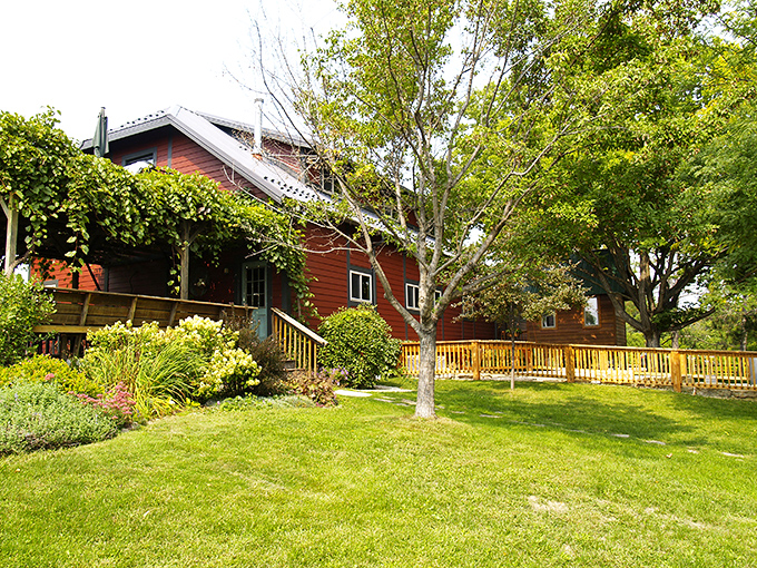 Cozy cabin meets vineyard views. Alexis Bailly's tasting room is like your favorite sweater, but with wine!