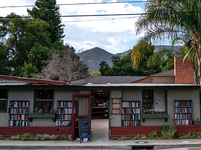 Reading al fresco! Bart's Books brings new meaning to 'outdoor education.' Watch out for bookworms… and actual worms!