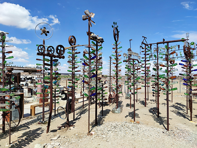 Tinkling in the breeze! These bottle trees are nature's wind chimes, turning trash into a twinkling treasure trove.