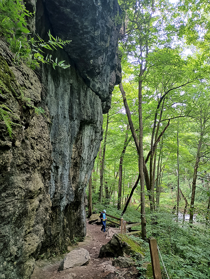 Talk about a room with a view! Clifton Gorge's overlooks offer vistas so stunning, you'll forget all about your Facebook feed.