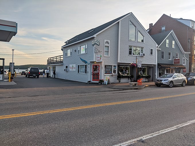 Fall in New England: Nature's own fireworks display. The trees are showing off more colors than a bag of Skittles!