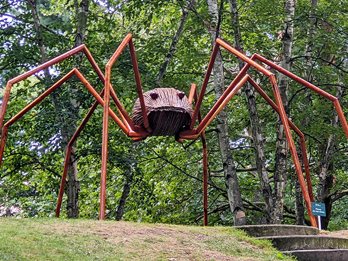 Jurassic Park, eat your heart out. Dow Gardens' prehistoric-looking ferns transport you to a time before smartphones ruled the Earth.