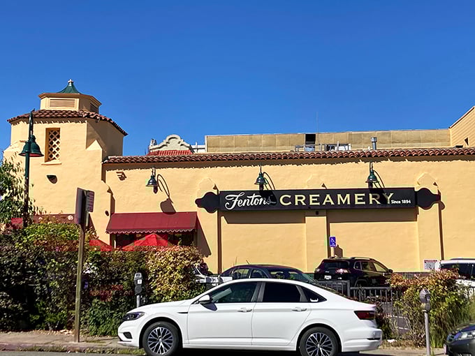 Step into Fentons, the Disneyland of dairy. That charming exterior hides a world of creamy wonders waiting to be discovered.