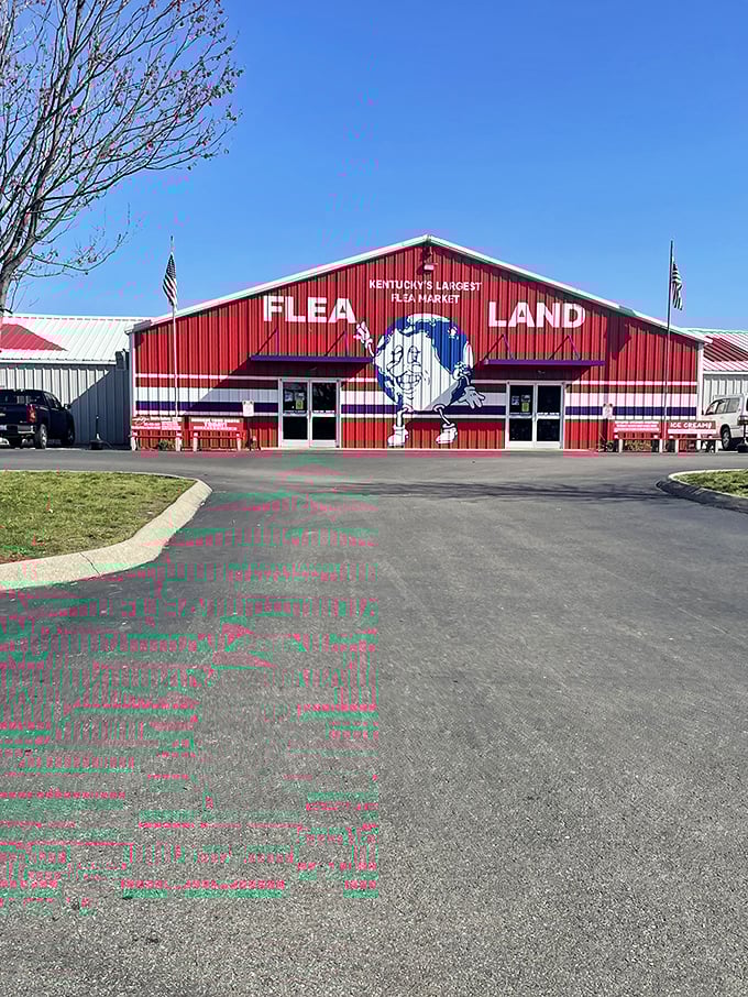 Flea Land: Where "window shopping" becomes an Olympic sport. Pack a snack and prepare for a day of delightful discoveries!