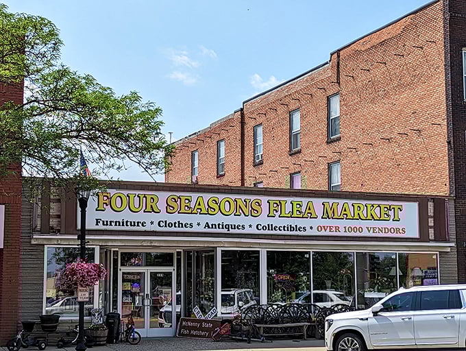 Brick-and-mortar magic! This unassuming facade hides a labyrinth of treasures that would make Indiana Jones jealous.
