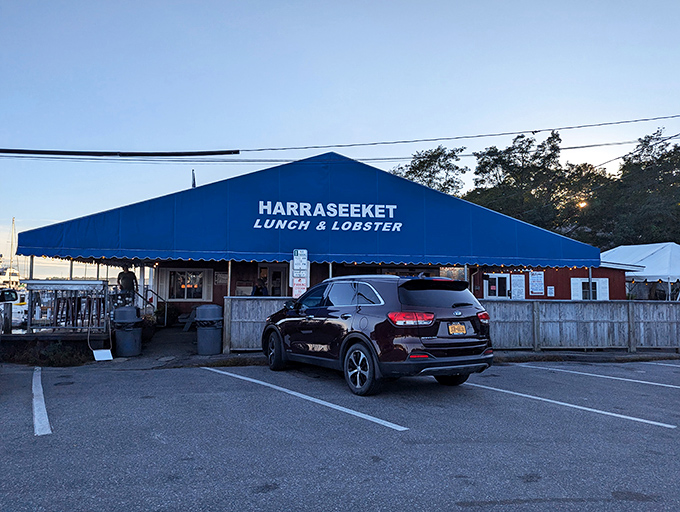 Picnic tables and ocean views &ndash; Harraseeket is like your childhood summer camp, but with way better food.