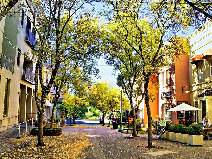Colorful storefronts invite you to discover Healdsburg's hidden gems. It's like a real-life treasure hunt, minus the pirate ships.