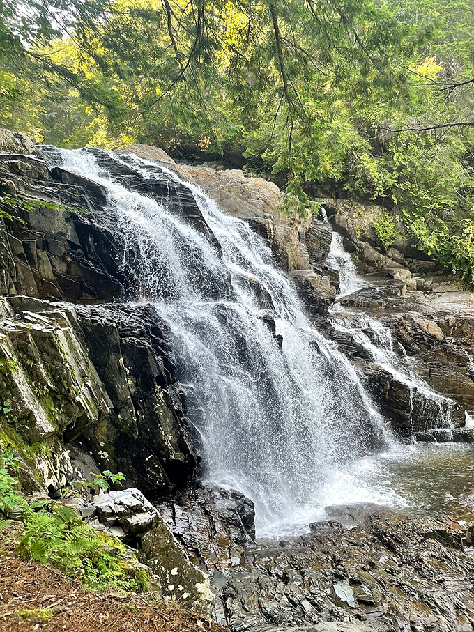 Step aside, Hollywood! Houston Brook Falls is ready for its close-up, starring in "The Great Outdoors: Maine Edition."