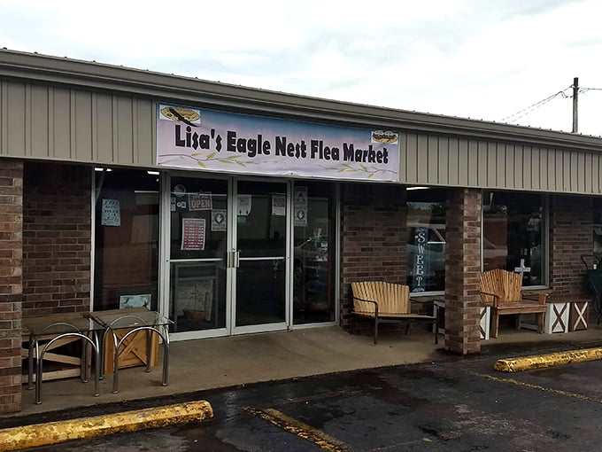 "From Elvis to macram&eacute;: Lisa's Eagle Nest is the ultimate 'I didn't know I needed that' emporium."