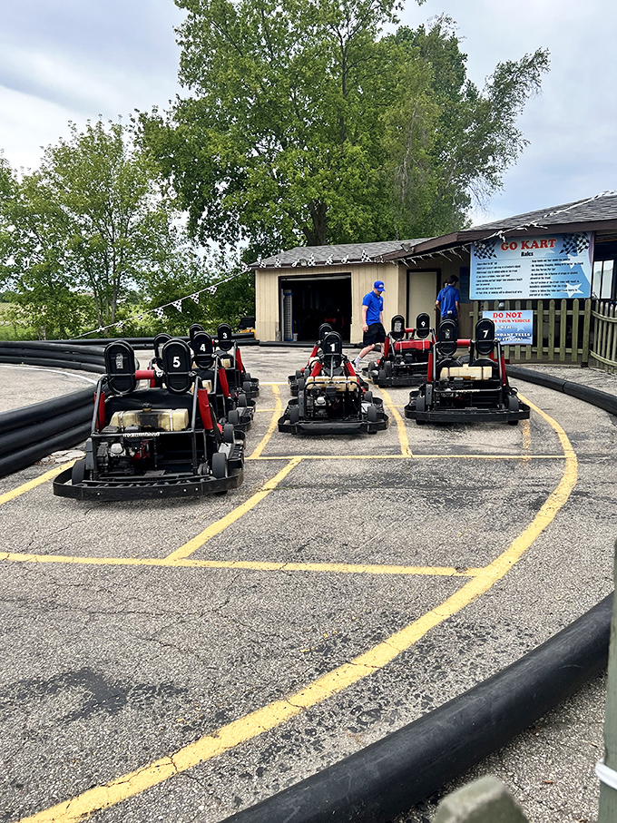 Splash and dash! These aquatic speed demons are perfect for wannabe pirates or aspiring Jacques Cousteaus.