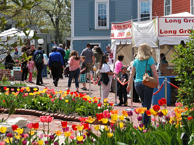 Long Grove in bloom: Where tulips and tourists mingle in a delightful dance of color and curiosity.