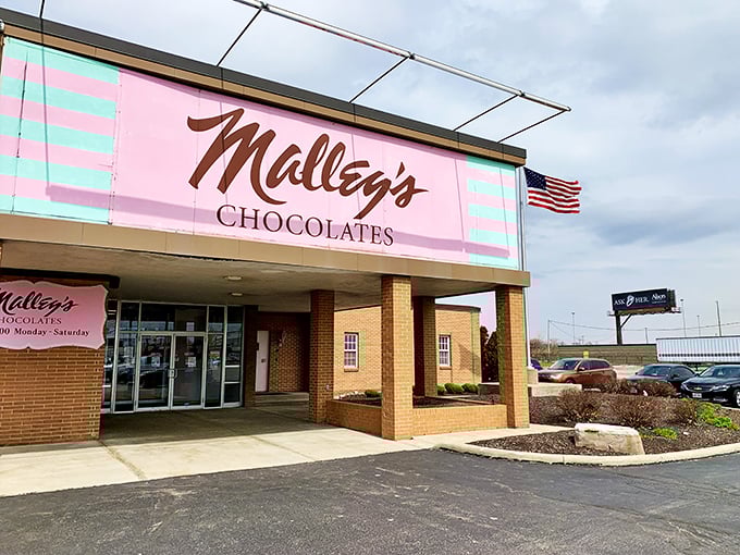 Pink and green never looked so delicious. Malley's is where chocolate dreams come true and diets go to die (in the most delightful way possible).